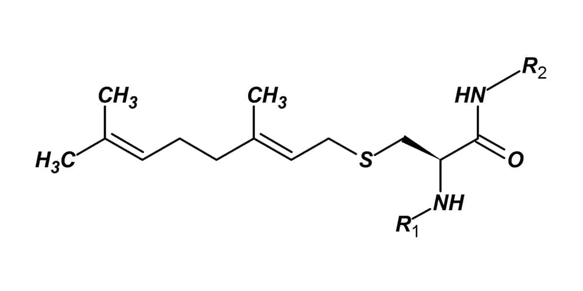 Peptide Prenylation - Prenylated Peptide - QYAOBIO