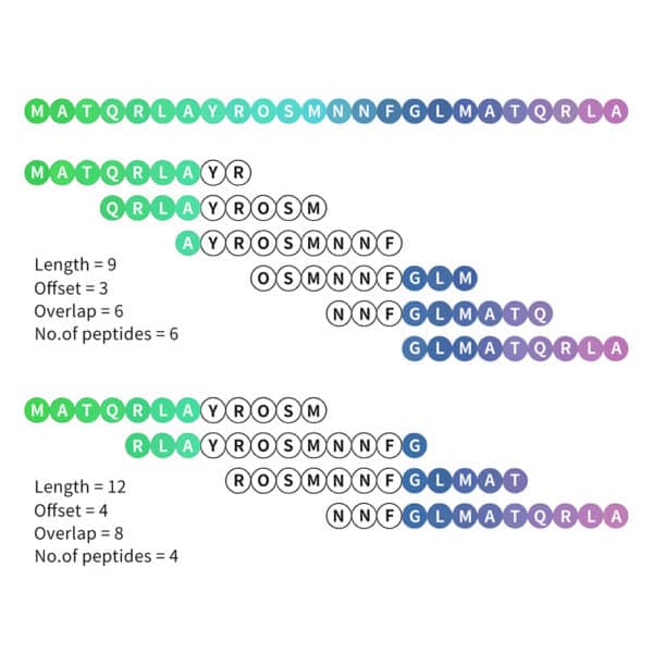 Peptide Library - Peptide Libraries - QYAOBIO