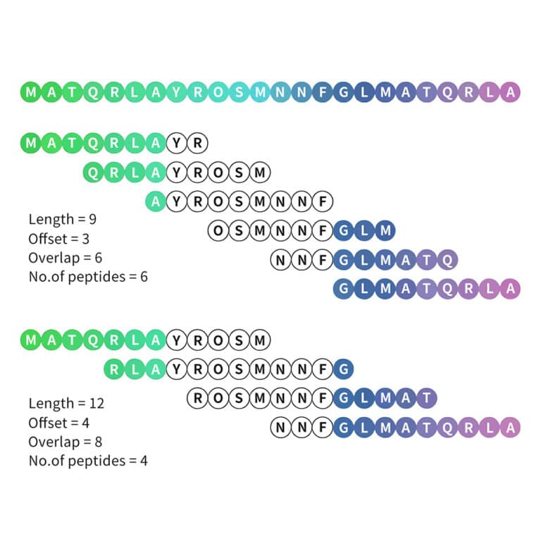 Peptide Library - Peptide Libraries - QYAOBIO