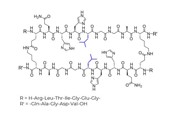 Isotope Labeled Peptides - SIL Peptides - QYAOBIO