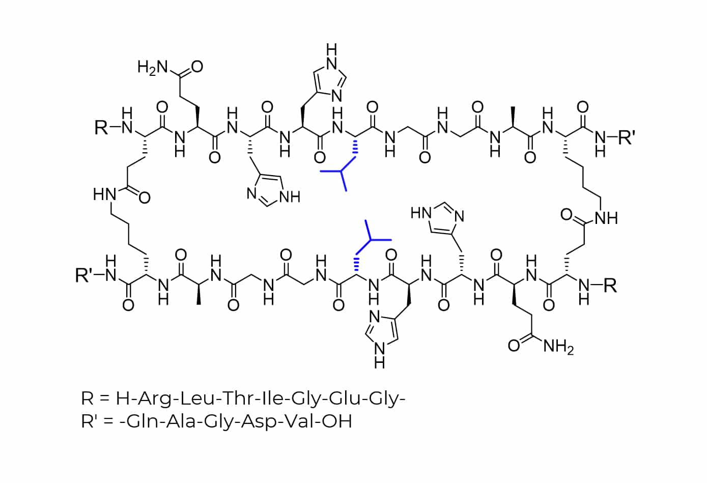 Isotope Labeled Peptides - SIL Peptides - QYAOBIO