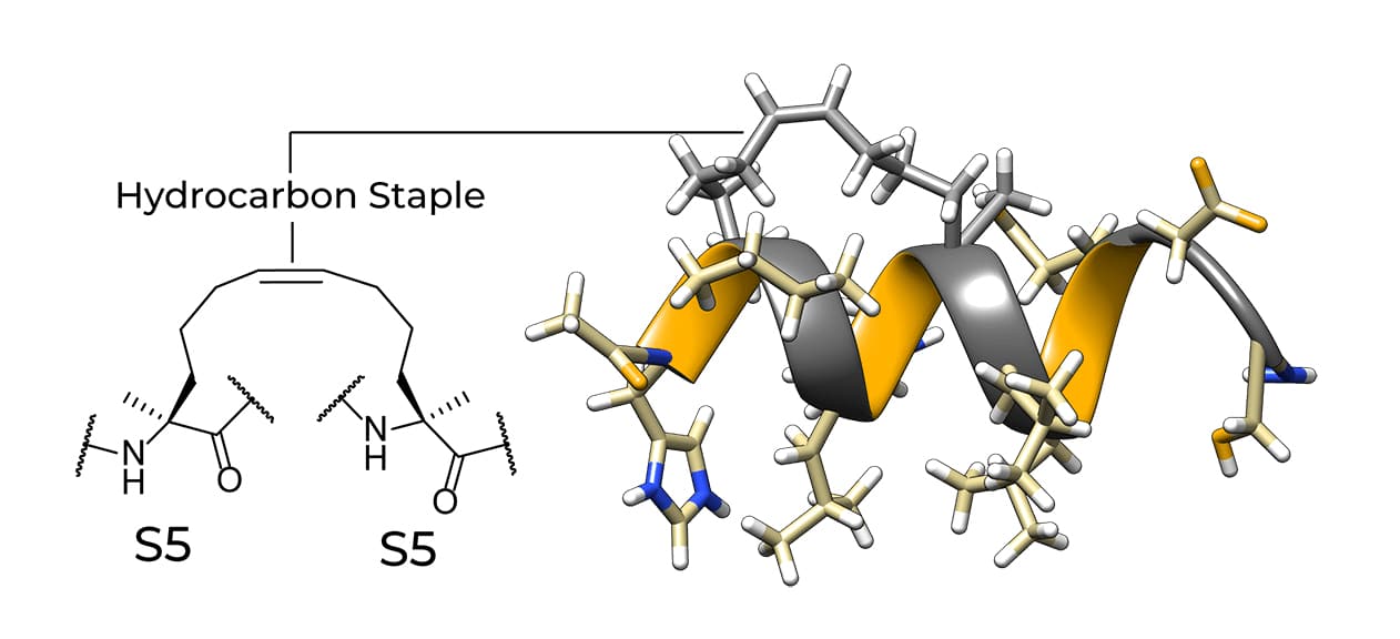 Stapled Peptide - Peptide Stapling - QYAOBIO