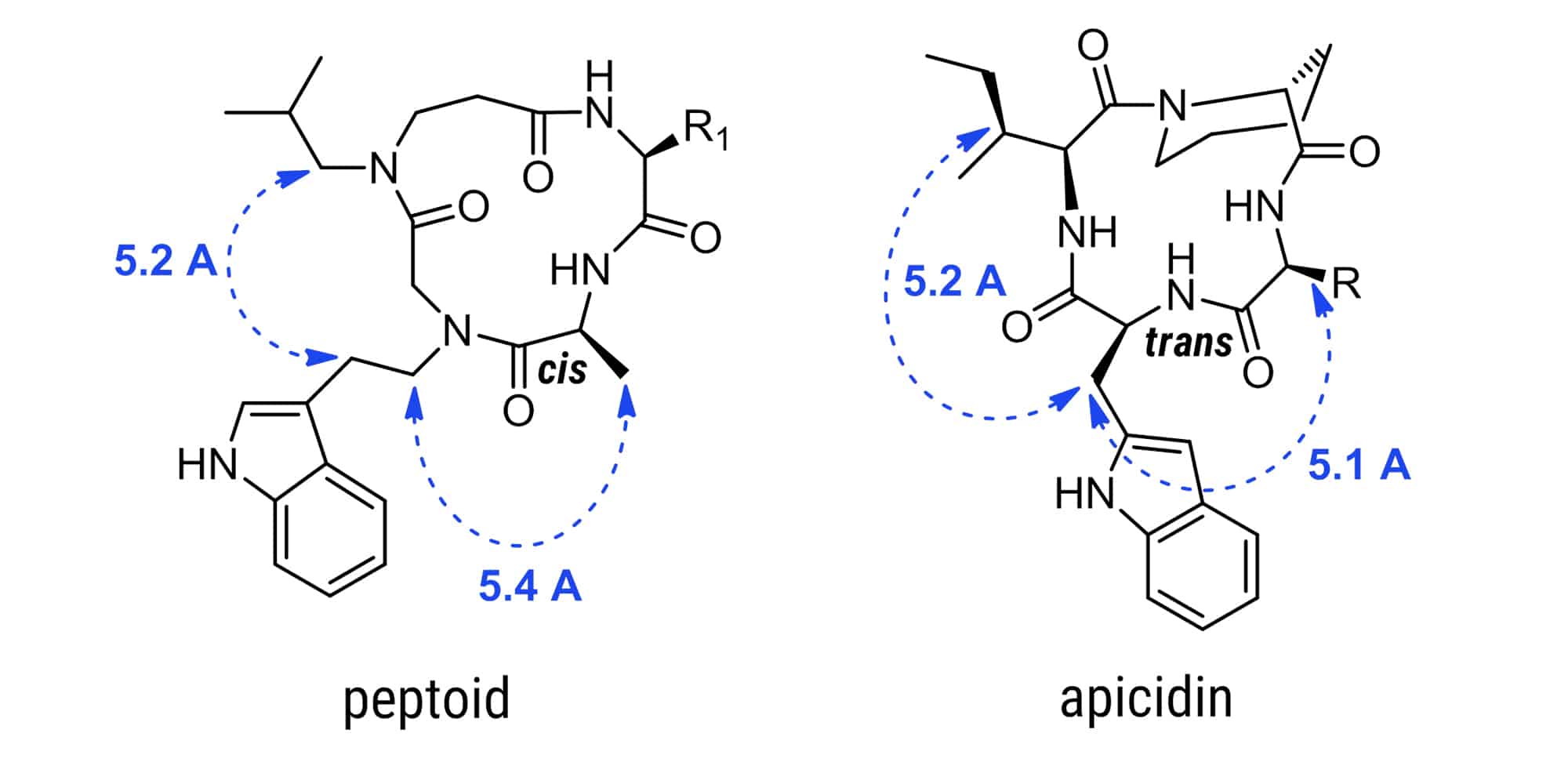 Peptoid - Peptide Mimetic - QYAOBIO