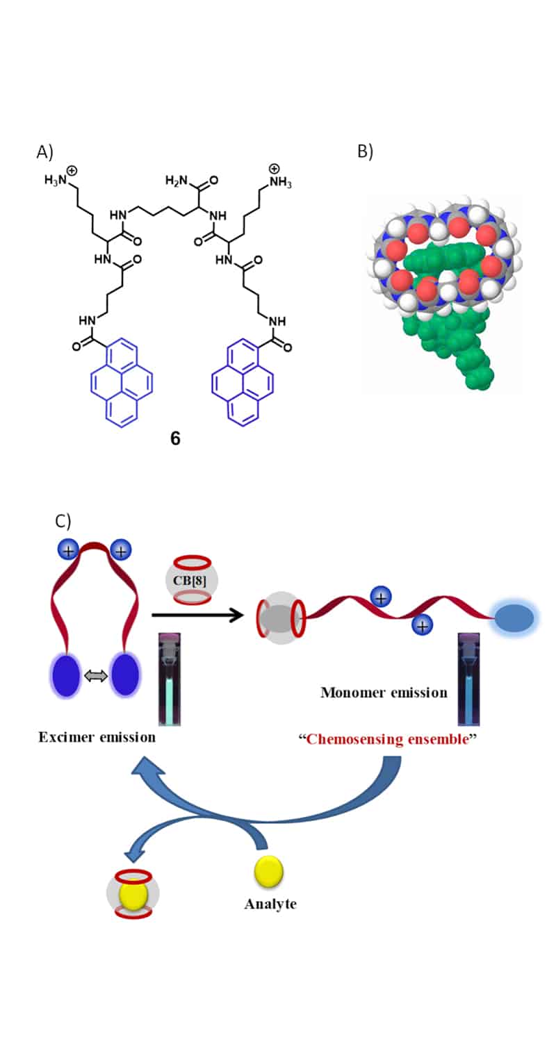 Fluorescent Peptides for Research - QYAOBIO