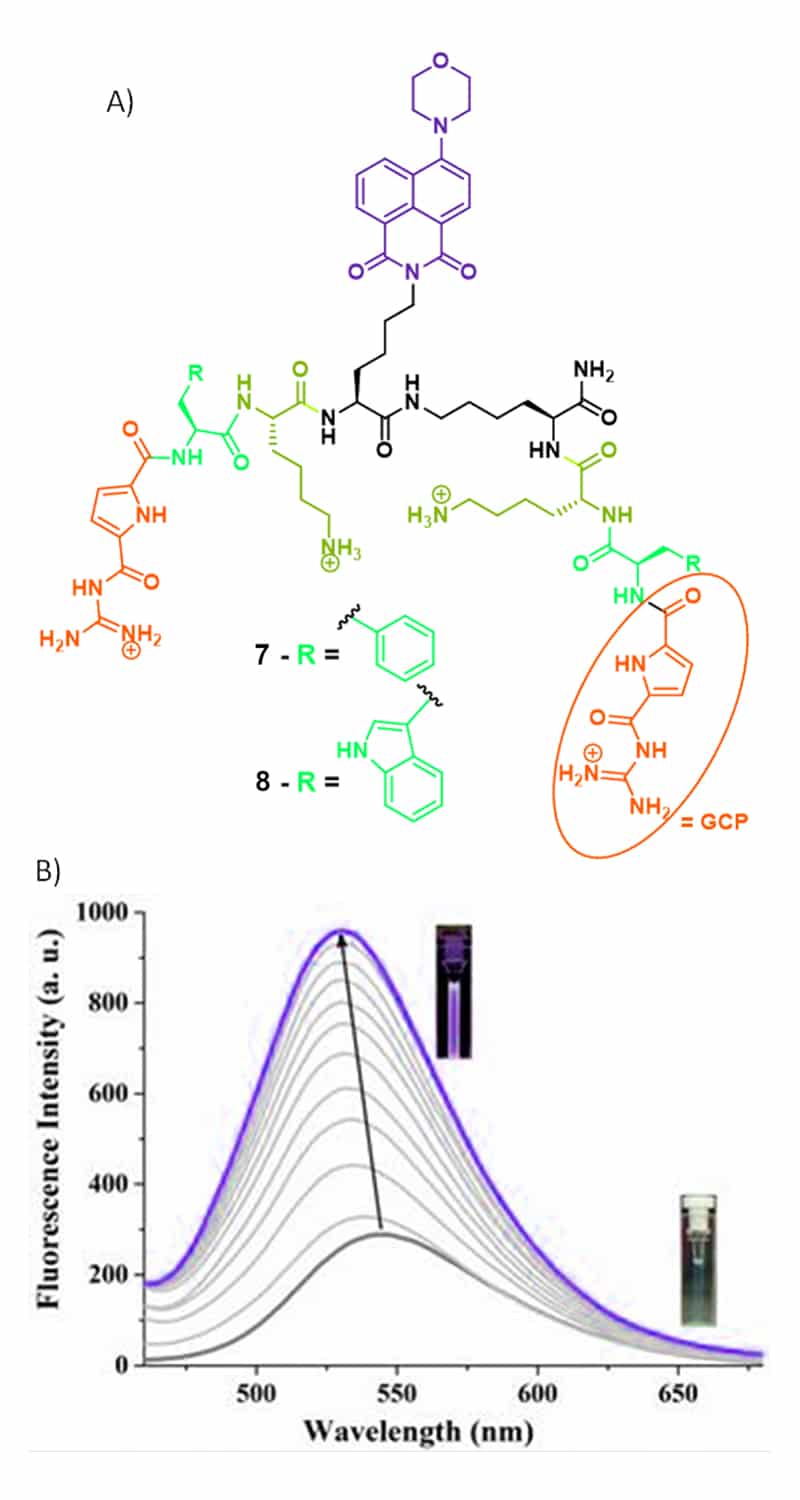 Fluorescent Peptides for Research - QYAOBIO