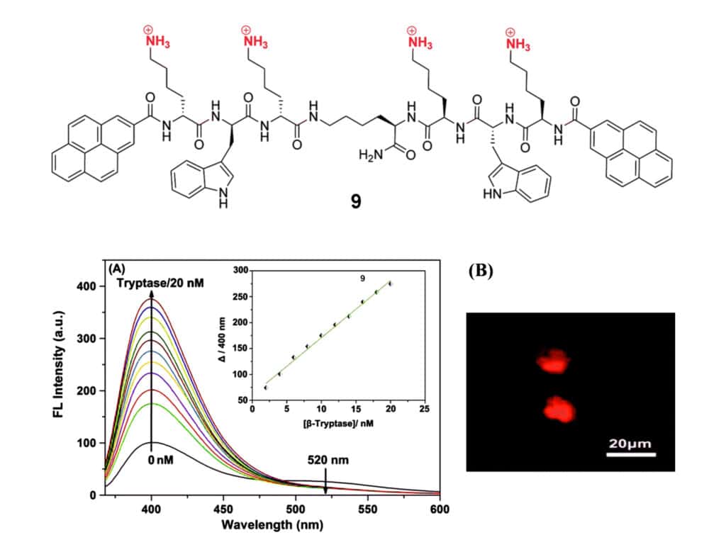 Fluorescent Peptides for Research - QYAOBIO