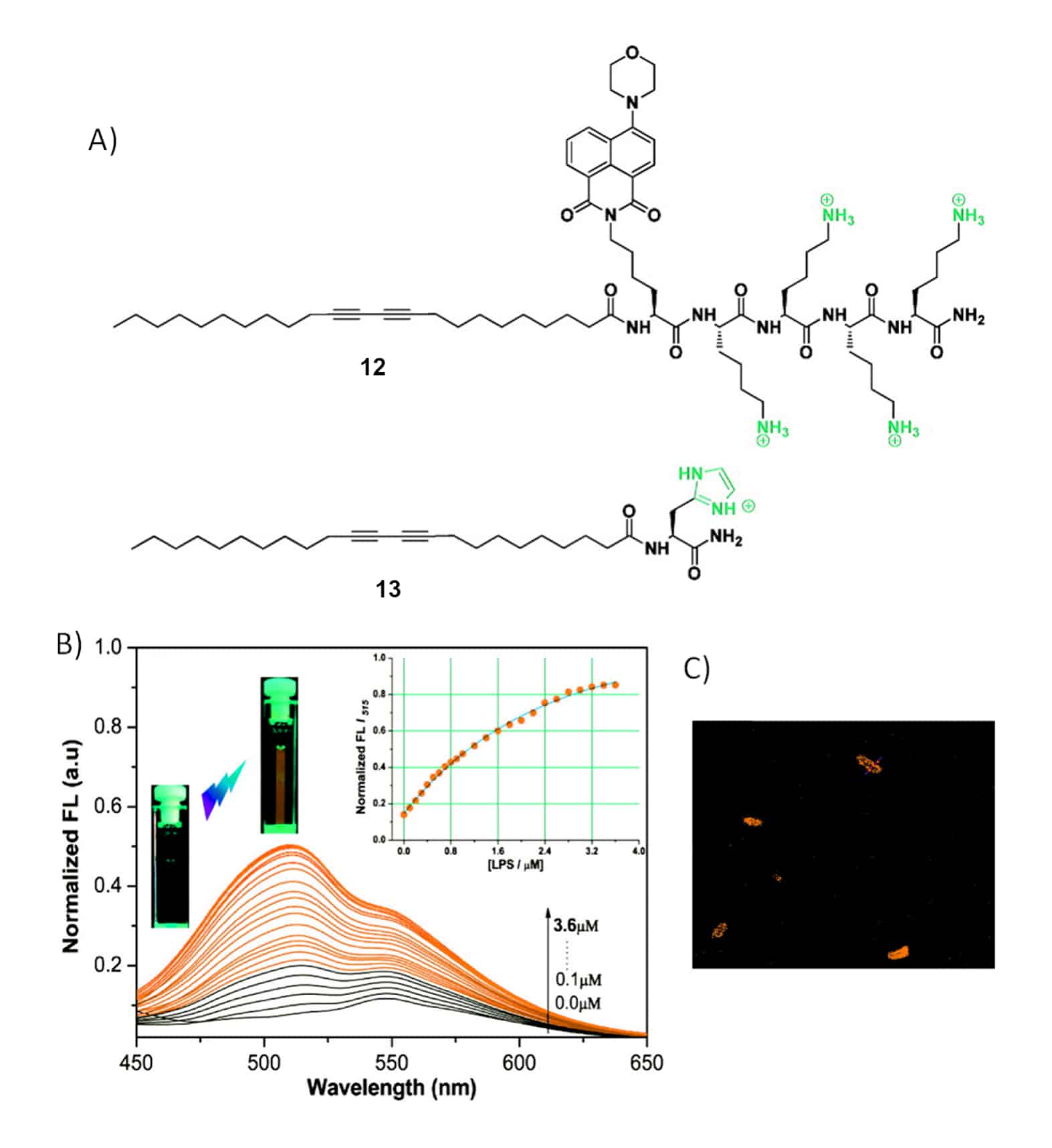 Fluorescent Peptides for Research - QYAOBIO