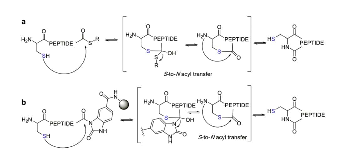 Amide Bond Formation in Cyclization - Amide Bond Cyclization - QYAOBIO