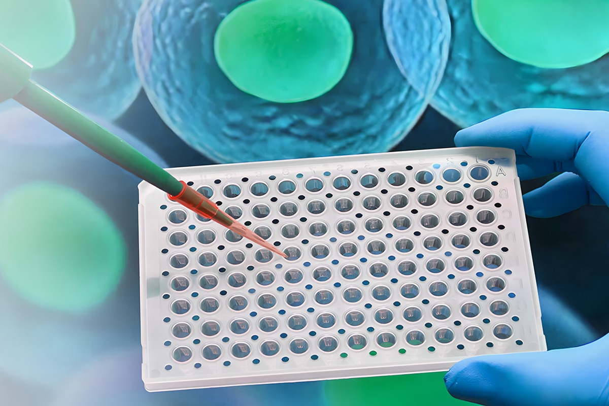 Protein - QYAOBIO