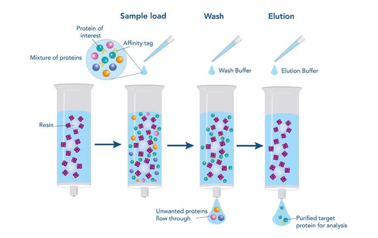 Affinity Chromatography - AC Purification - QYAOBIO