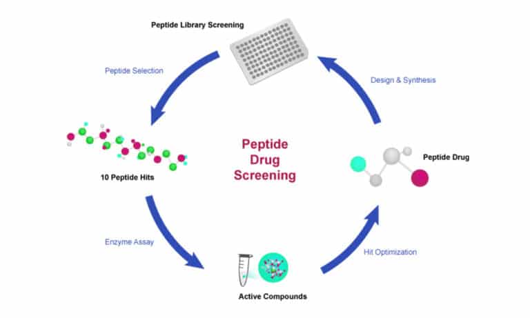 Peptide Library Synthesis - Synthesis of Peptide Library - QYAOBIO